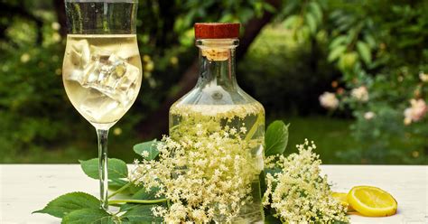 Holundersirup Rezepte Suchen