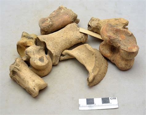 Knuckle Bones Folkestone Museum Learn With Objects