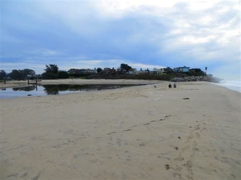 Corcoran Lagoon Beach In Santa Cruz Ca California Beaches