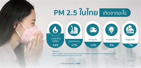 ฝุ่น Pm 25 ในไทย เกิดจากอะไร