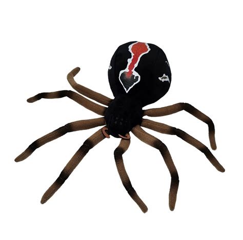 Katipō Spider Zealandia