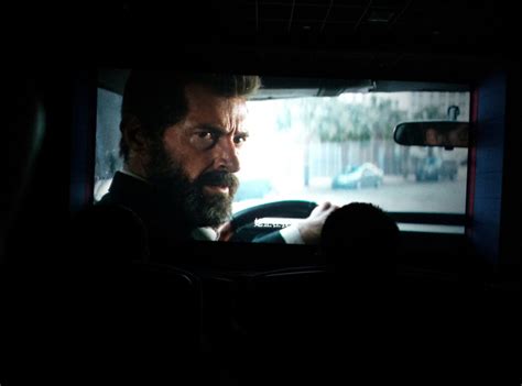 狼叔 高清图片，堆糖，美图壁纸兴趣社区