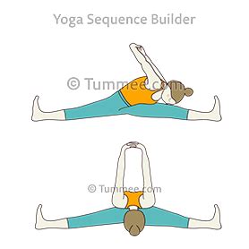 Seated Straddle Yoga Seal Pose Upavistha Konasana Yoga Mudrasana