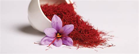 What Is Saffron Parfumerie Nasreen