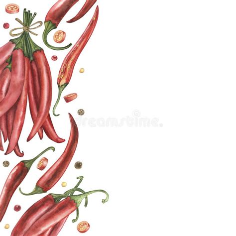 Watercolor Illustration Of Red Chili Pepper Seeds Slices And Spices