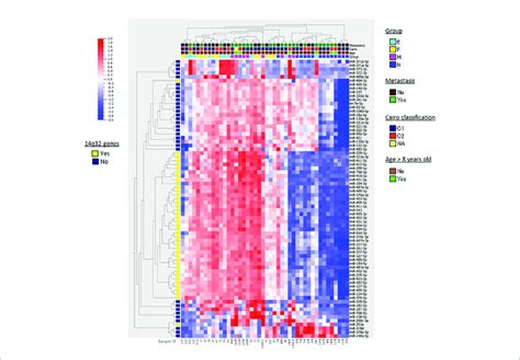 Heatmap And Hierarchical Clustering The Results Of Hierarchical Download Scientific Diagram