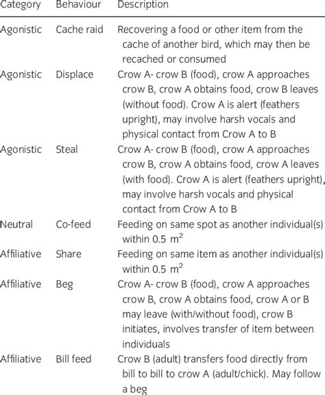 Ethogram Of Social Foraging Related Behaviours Recorded During Scan And