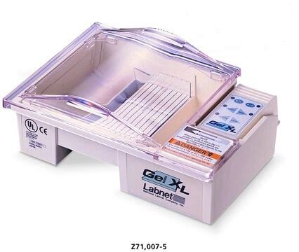 Gel Xl 100™ Electrophoresis System Standard Gel Casting Set Sigma Aldrich