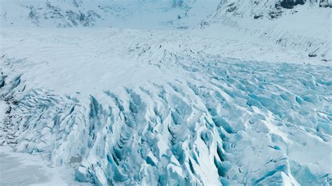 James Hopper — Bio Site