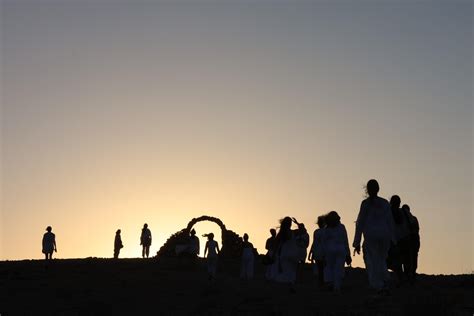אטרקציות בדרום חופשה משפחתית במדבר חוות האלפקות