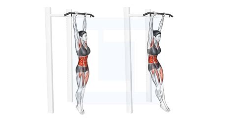 Hollow Hold Guide Benefits And Form