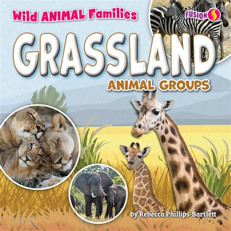 Grassland Animal Groups Bearport Publishing