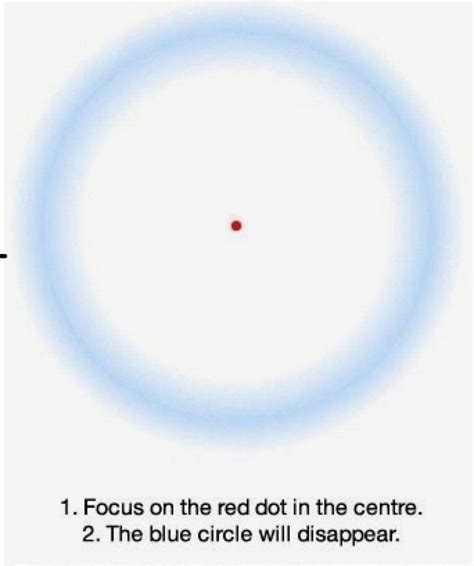 Mind Bending Illusion Red Dot On Blue Circle Optical Illusions Mind