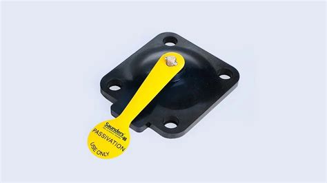 Saunders Pv Passivation Diaphragm Valve At Best Price In New Delhi