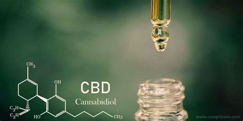 What Does Cbd Stand For What Does Cbd Mean