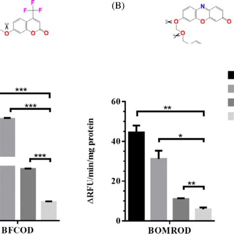 Metabolism Of Two Artificial Fluorogenic Substrates By Three Download Scientific Diagram