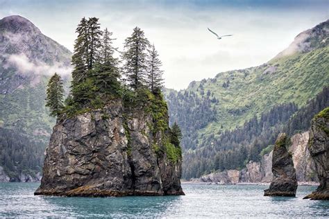 8 Breathtaking Alaska National Parks To Visit This Year Territory Supply