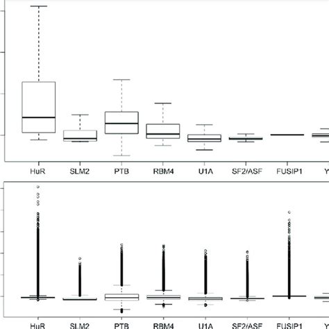 Left Protein Binding Motifs Derived From The Rna Sequences Generated Download Scientific