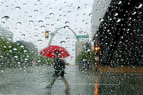 How To Safely Move In Bad Weather Gold Coast Journey