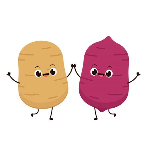 510 項sweet Potato Yam Vegetable Cartoon照片檔、圖片和免版稅影像 Istock