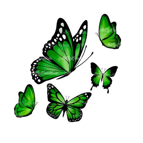Green Butterfly Png