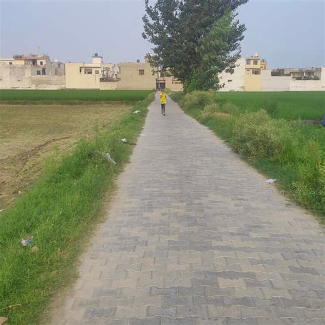 Simranjit Singh Dhaliwal