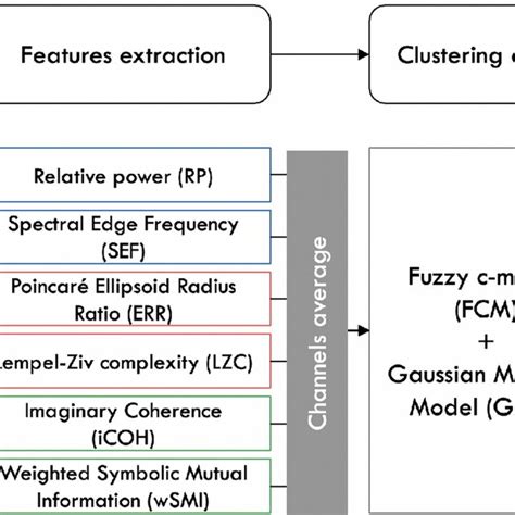 signal processing and analysis pipeline the recorded signal is