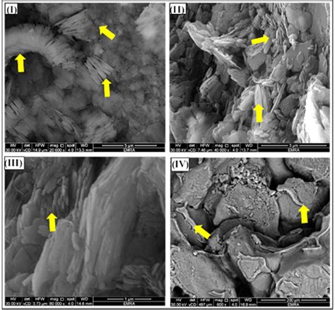 sem images showing the kaolinite microstructure i kaolinite in