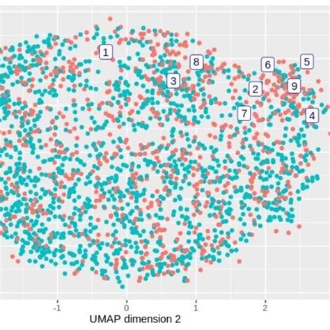 Umap Of The Know Patients With Combination 5 Age Sex Ps Diagnosis Download Scientific