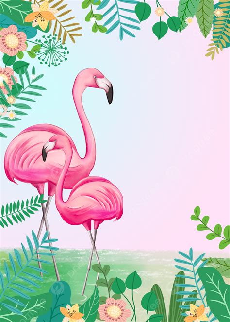 Descargar Fondo De Pantalla Flamenco Rosa 620 Resultados De Imágenes
