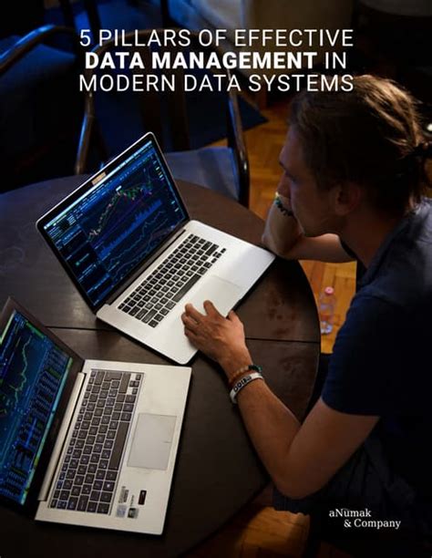 5 Pillars Of Effective Data Management In Modern Data Systemspdf