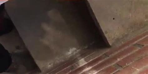 Free Crackhead Porn Videos And Sex Movies Tnaflixcom