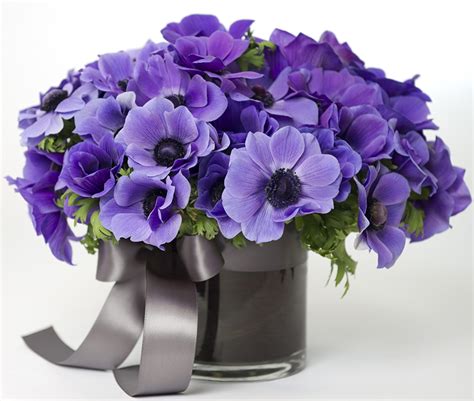 Violet Flowers Bouquet Images At Clifford Zak Blog