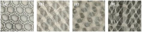 Electrospun Patterned Membrane