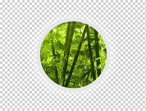 البامبو الأحمر الباندا الهواتف المحمولة الباندا العملاقة ملعقة خشبية ، مزود الخدمة المناظر