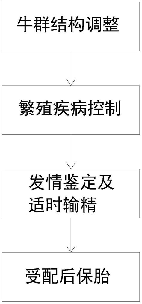 一种提高肉牛繁殖率的方法与流程
