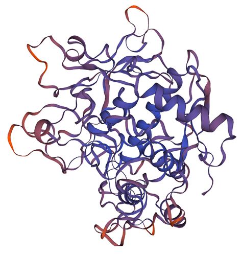 Week 3 A Taste Of Tyrosinase A Color Full Exploration Of Oculocutaneous Albinism Type 1