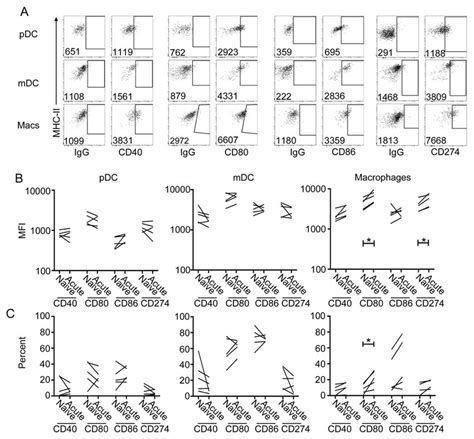 Expression Of Markers Of Activation On Stimulated Lymph Node Pdc Mdc Download Scientific