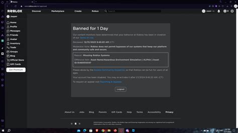 Banned For Misusing Roblox Systems More Info In Comments R Robloxbans