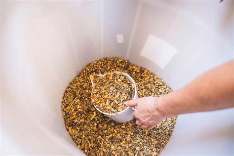 Homemade Feed Formulations For Livestock Discover Cost Effective