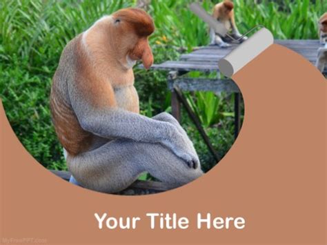 Free Monkey PowerPoint Templates MyFreePPT Com