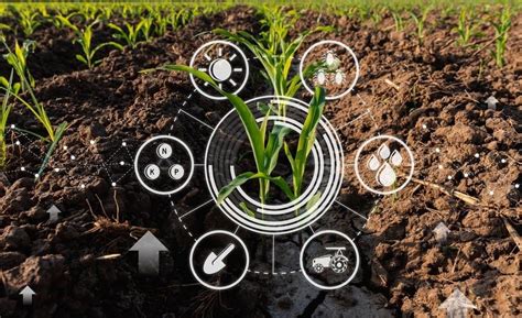 Maximizing Efficiency And Storage The Farm Silo Solution Farmvina