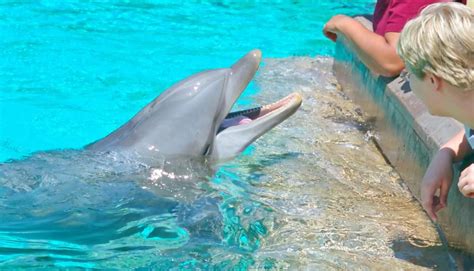 Seaworld San Diego Discover The Beauty Go San Diego