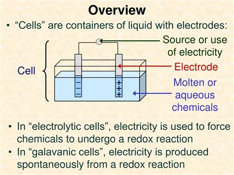PPT Types Of Cells PowerPoint Presentation Free Download ID 158736