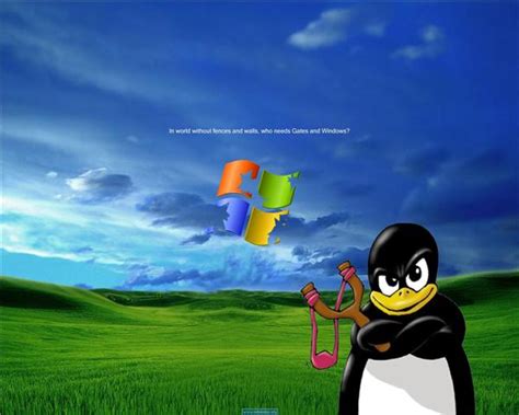 Cool Posting Linux And Windows Xp Pictures