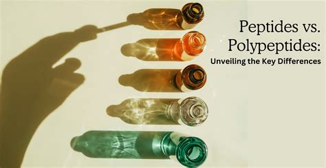 Peptides Vs Polypeptides Unveiling The Key Differences Clinikally