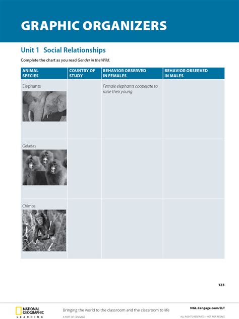 Pathways Rw Level 3 Graphic Organizer Pdf