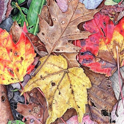 Seasons Drawing By Ann Holder Fine Art America
