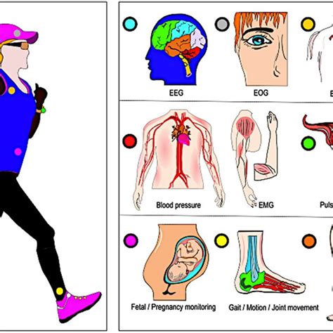 Locations Of Physiological Textile Biosensors For Registering Different