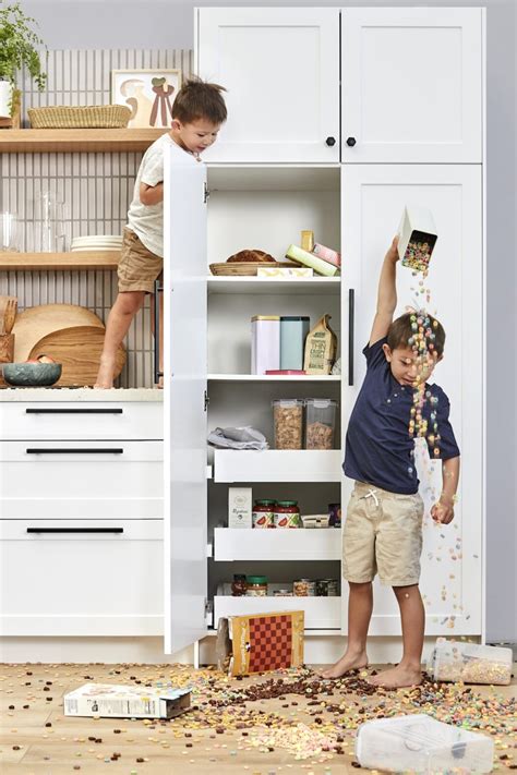 Boxi Kitchen Cabinets Are Made For Mess